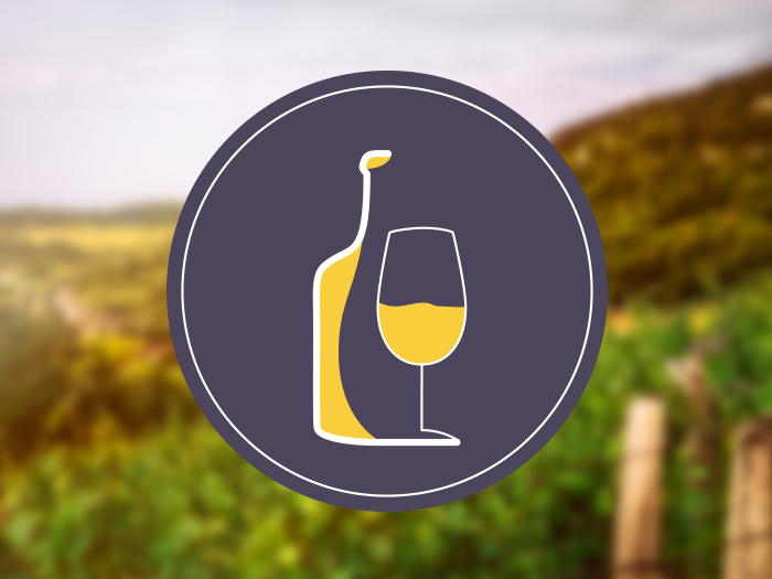 Domaine Michel Thibaut | Thibaud Lenthéric Portfolio